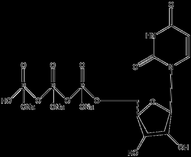 Apexbio Technology LLC UTP Solution (100 mM),1mL, Quantity: Each of 1 | Fisher Scientific