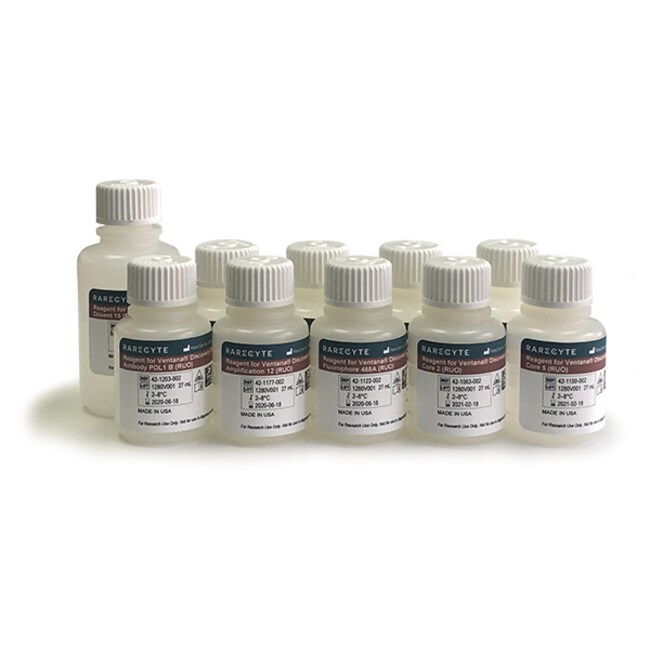 Rarecyte RareCyte RarePlex PD-L1 CTC Panel Kit, Ventana (SYTOX), Quantity: | Fisher Scientific