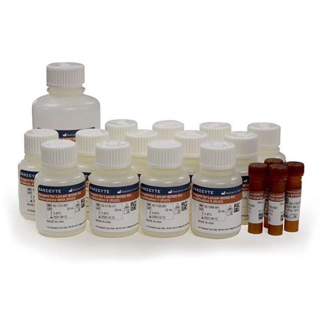Rarecyte RareCyte RarePlex ARv7/Synaptophysin CTC Panel Kit, Leica ...