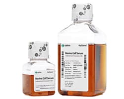 Suero bovino adulto | Fisher Scientific