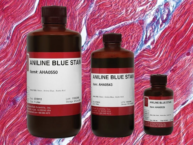 StatLab MasterTech Special Stain Kit Component, Aniline Blue Stain 100 mL | Buy Online | StatLab ...