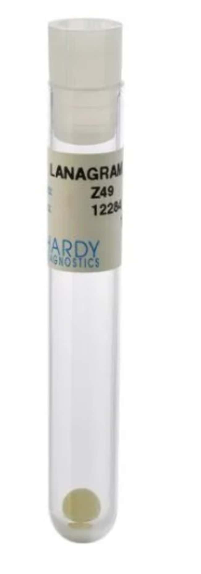 Hardy Diagnostics LanaGram Rapid Color Test for Bacterial Gram Reaction ...