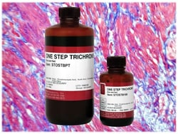 StatLab MasterTech Special Stain Kit Component, One Step Trichrome Stain (Blue and Red) 1 L ...