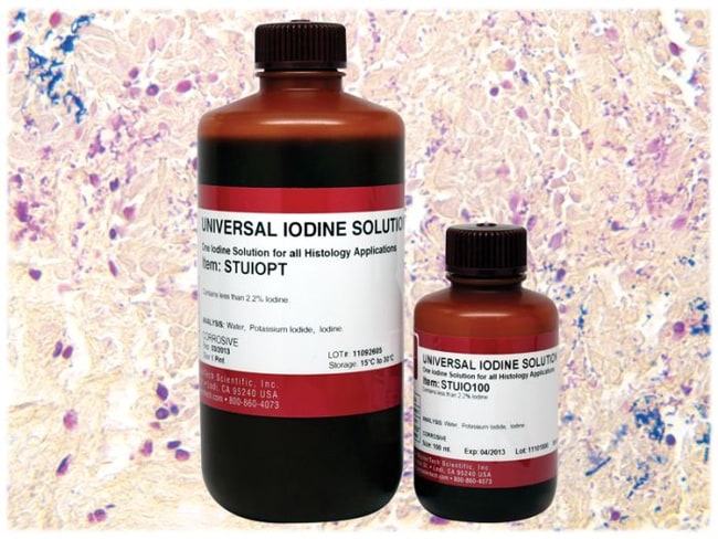 StatLab MasterTech Special Stain Kit, Universal Iodine Solution 1 Pint | Buy Online | StatLab ...