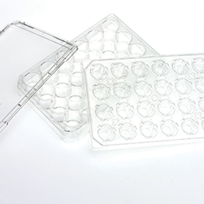 Cell Culture Plate Inserts at Jordan Moncrieff blog