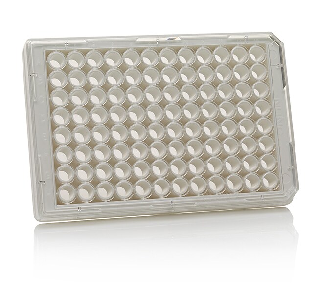 Thermo Scientific 96 Well White Clear Bottom Plate TC Surface White 