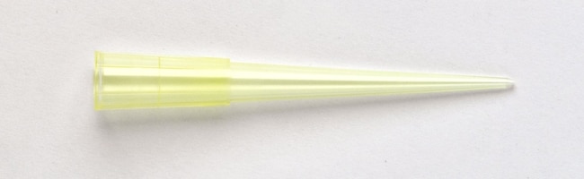 Thermo Scientific QSP Filter and Non-Filtered Pipette Tips | Fisher ...