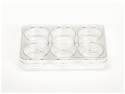 Thermo Scientific Nunc Cell-Culture Treated Multidishes 6 round wells ...