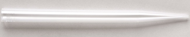 Thermo Scientific QSP Filter and Non-Filtered Pipette Tips | Fisher ...