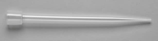 Thermo Scientific QSP Filter and Non-Filtered Pipette Tips | Fisher ...