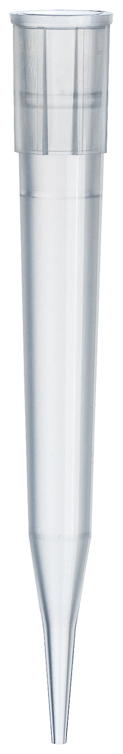 Thermo Scientific Finntip Pipette Tips 300 μL | Buy Online | Thermo ...