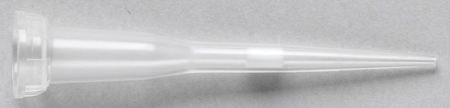 Fisherbrand™ SureOne™ Filter Tip Reload Pipette Tips Micropoint Nano ...