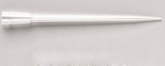 Thermo Scientific QSP Filter and Non-Filtered Pipette Tips | Fisher ...