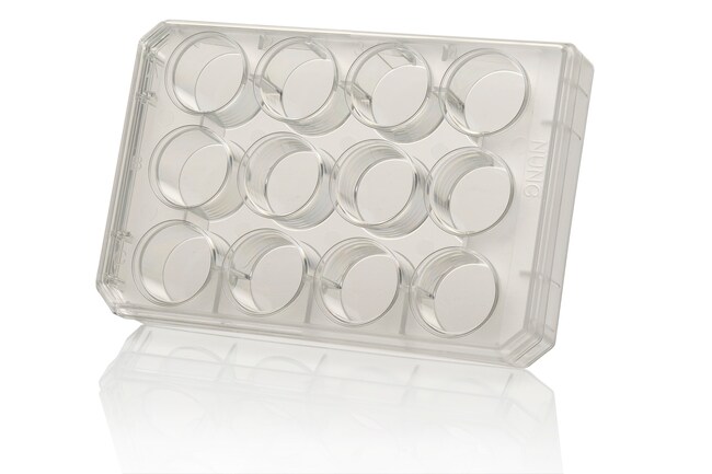 Thermo Scientific™ Nunc™ Non-Treated Multidishes: Cell Dividers ...
