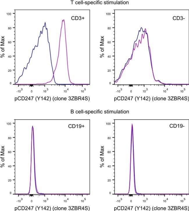 Phospho-CD247 (CD3 zeta) (Tyr142) Monoclonal Antibody (3ZBR4S), APC ...