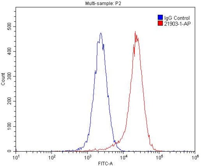 PVRL4 Rabbit anti-Human, Mouse, Polyclonal, Proteintech 150 μL ...