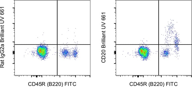 CD20 Monoclonal Antibody (QCH6A7), Brilliant Ultra Violet 661 ...