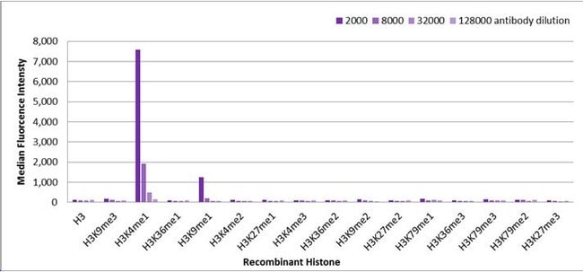 Histone H3K4me1 Polyclonal Antibody, Active Motif:Antibodies:Primary ...