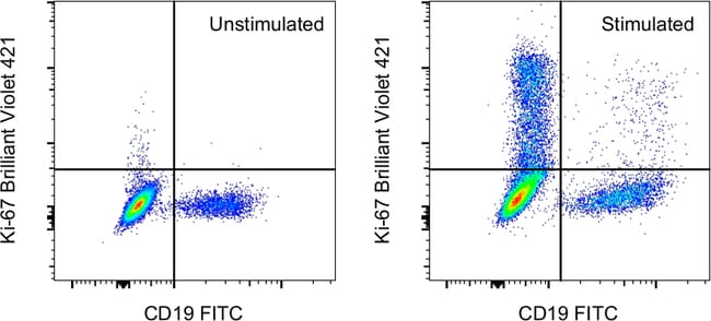 Ki-67 Monoclonal Antibody (20Raj1), Brilliant Violet 421, eBioscience ...
