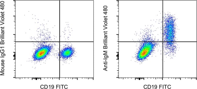 Invitrogen IgM Monoclonal Antibody (SA-DA4), Brilliant Violet 480 ...