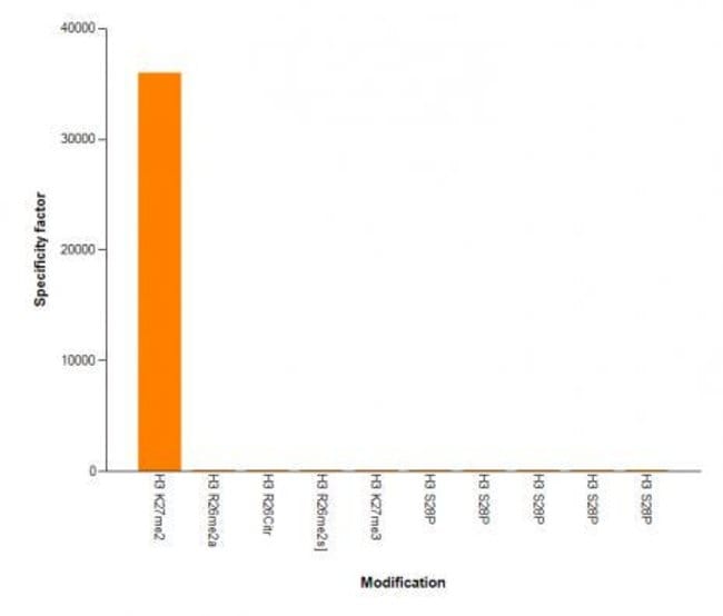 Human Cloning Graphs