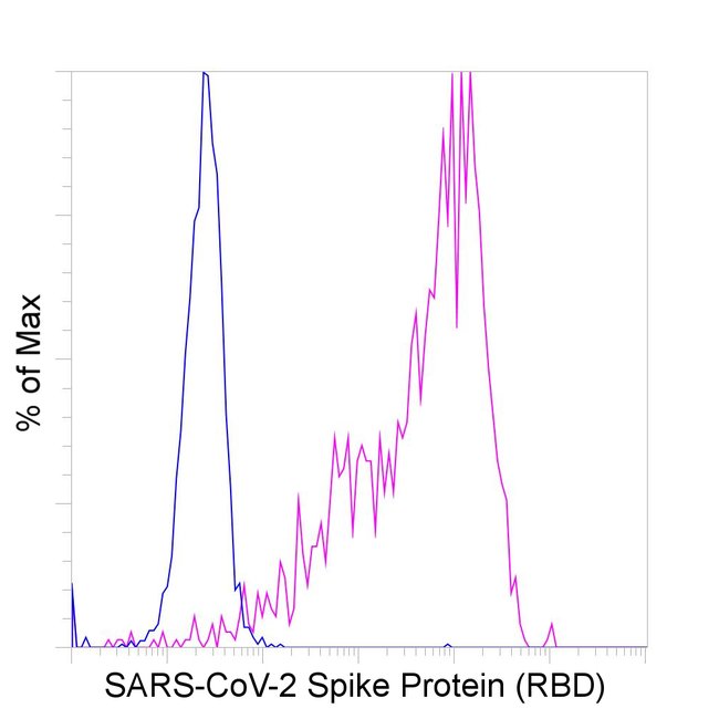 SARS-CoV-2 Spike Protein (RBD) Chimeric Recombinant Rabbit Monoclonal Antibody (T01KHuRb ...
