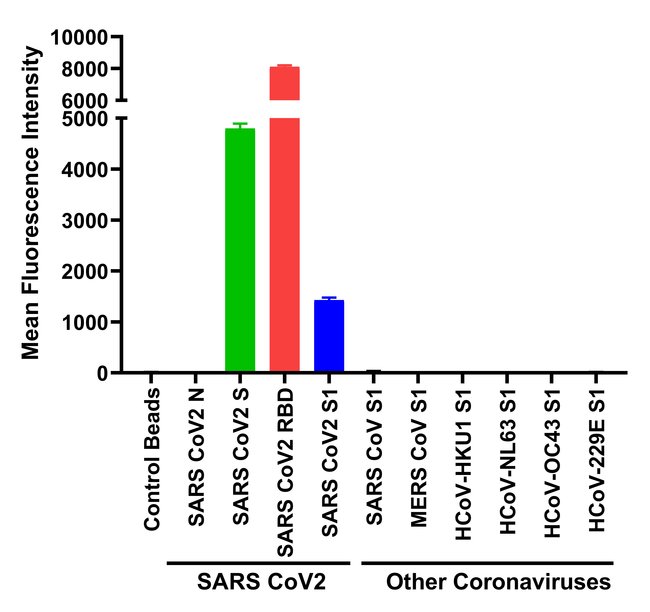 SARS-CoV-2 Spike Protein (RBD) Human anti-Virus, Clone: P05DHu ...