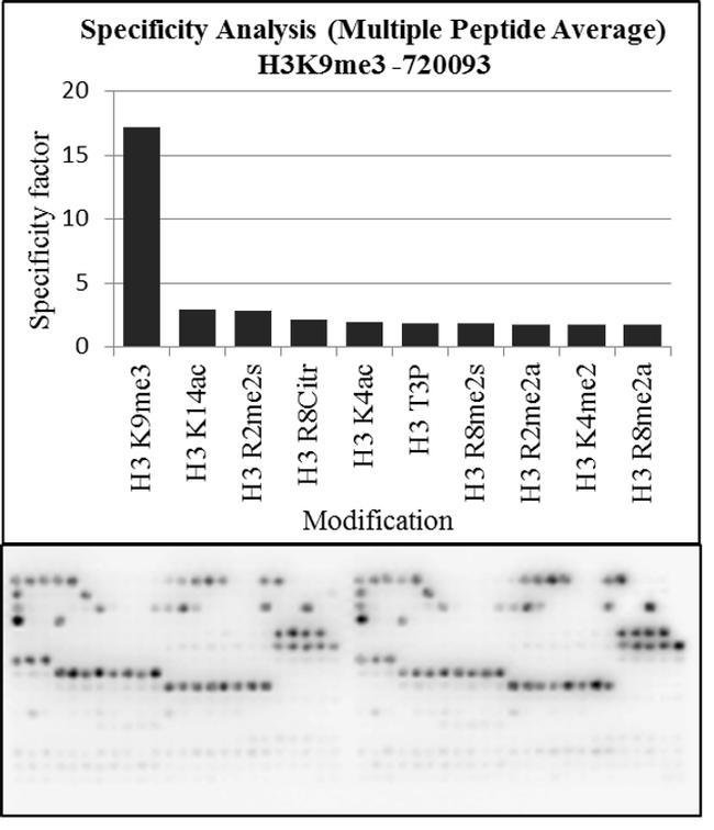 Invitrogen H3K9me3 Polyclonal Antibody 100 μg; Unconjugated:Anticorps ...