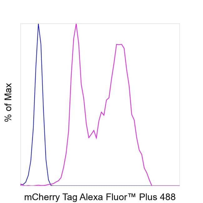 mCherry Recombinant Rat Monoclonal Antibody (16D7), Alexa Fluor Plus 488, | Fisher Scientific