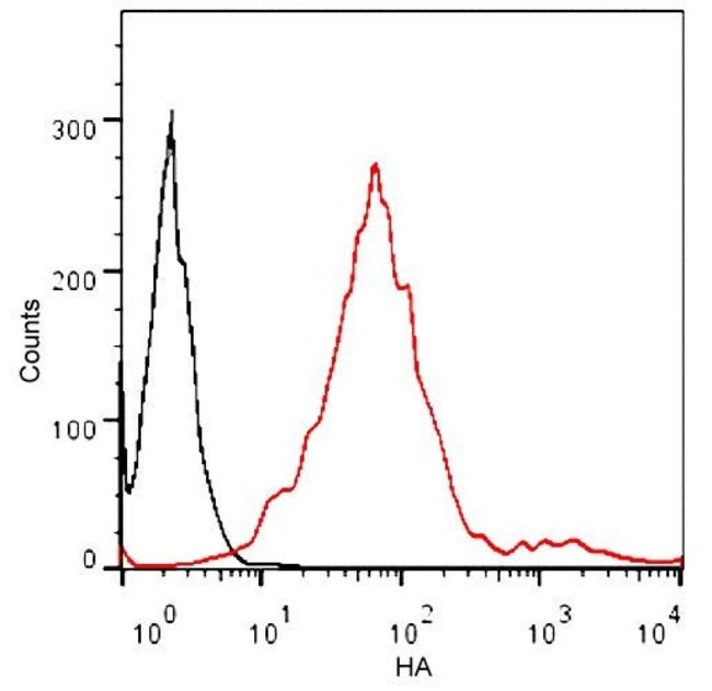 HA Tag Mouse, iFluor 488, Clone: 5E11D8, THE , GenScript 100 μg; iFluor ...