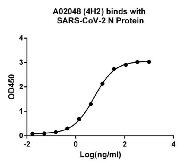 SARS-CoV-2 Nucleocapsid Mouse anti-Virus, Clone: 4H2, GenScript ...