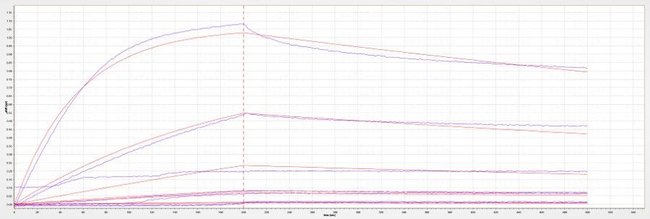 SARS-CoV-2 Nucleocapsid Chimeric Human anti-Virus, Clone: N39HC ...
