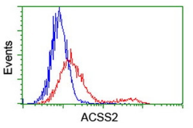 ACSS2 Mouse anti-Human, Clone: OTI3H4, lyophilized, TrueMAB 100 μg ...