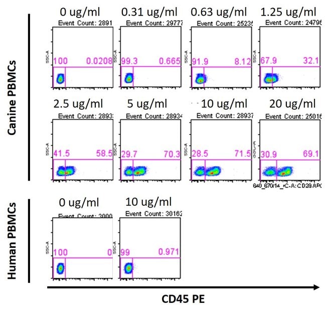 Invitrogen™ CD28 Monoclonal Antibody (5B8), APC, eBioscience™ | Fisher ...