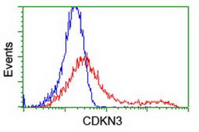 CDKN3 Mouse anti-Human, Clone: OTI1C7, lyophilized, TrueMAB™ 100 μg ...
