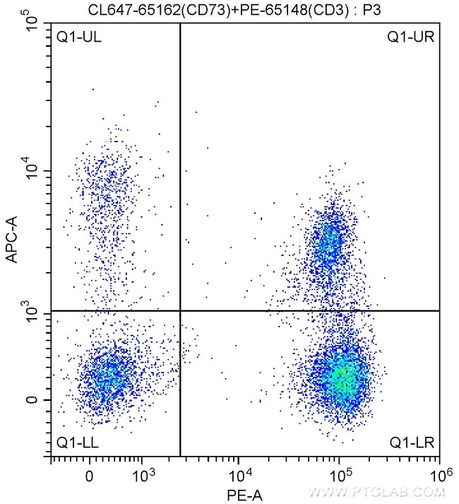 CD73 Monoclonal Antibody (AD2), CoraLite647, Proteintech 100Tests ...