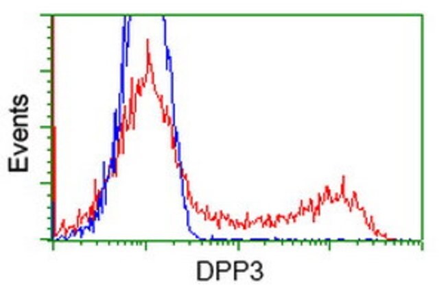 DPP3 Mouse anti-Human, Clone: OTI4B6, lyophilized, TrueMAB 100 μg ...