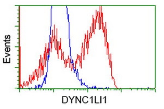 DYNC1LI1 Mouse anti-Human, Clone: OTI1B9, lyophilized, TrueMAB 100 μg ...