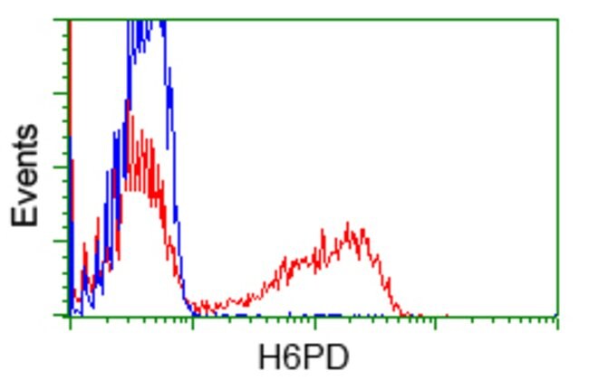 H6PD Mouse anti-Human, Clone: OTI2A7, lyophilized, TrueMAB™ 100 μg ...