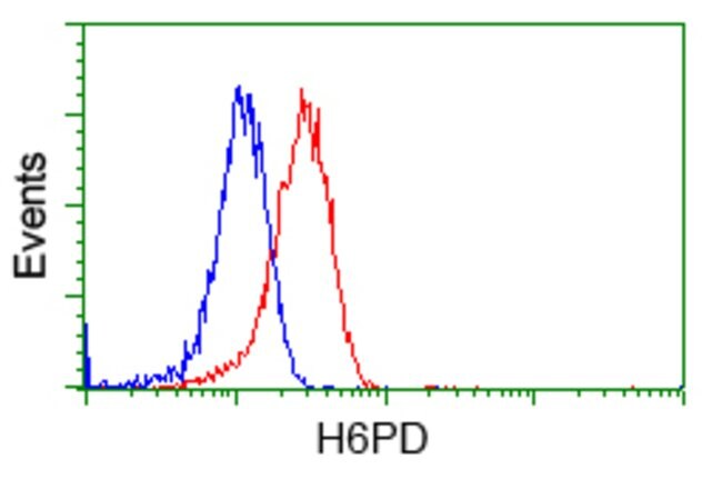 H6PD Mouse anti-Human, Clone: OTI2A7, lyophilized, TrueMAB™ 100 μg ...