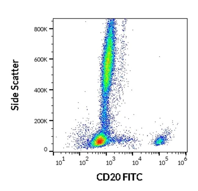 CD20 Monoclonal Antibody (2H7), FITC, Invitrogen 100 Tests; FITC ...