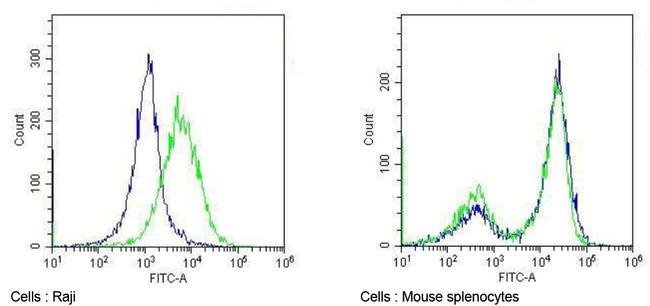 Mouse IgG1 Isotype Control (NCG01), Invitrogen™ 500 μL; Unconjugated ...