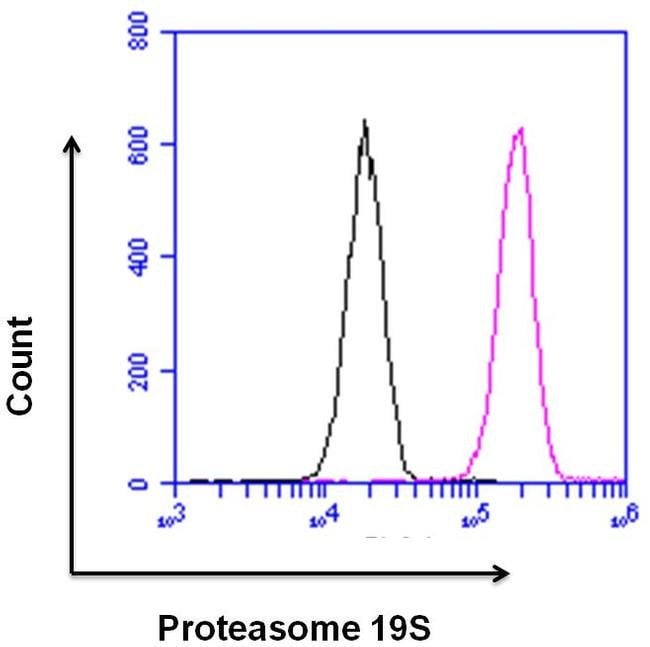 Invitrogen Rabbit IgG Recombinant Isotype Control (SP137) 500 μL ...