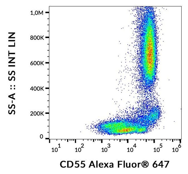 Invitrogen CD55 Monoclonal Antibody (MEM-118), Alexa Fluor 647 100 ...