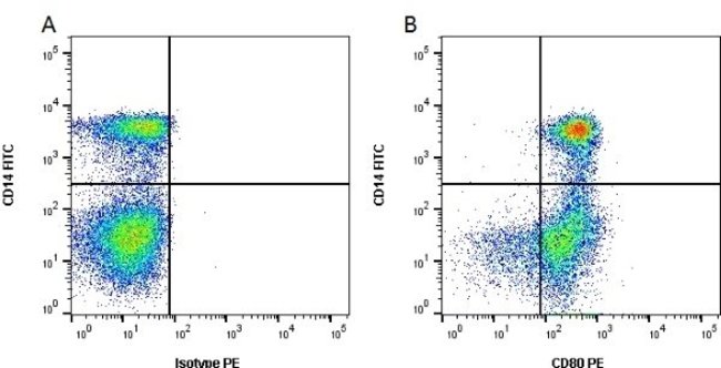 CD80 (B7-1) Monoclonal Antibody (IL-A159), Invitrogen 100 μg ...