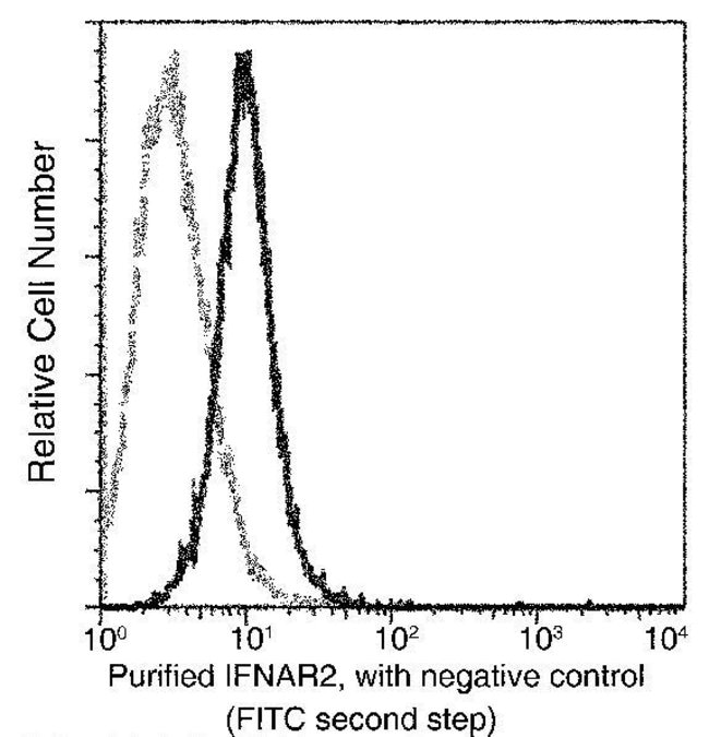 IFNAR2 Mouse anti-Human, Clone: 7, Invitrogen 100 μL; Unconjugated ...