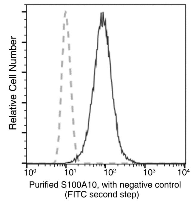 S100A10 Monoclonal Antibody (3), Invitrogen 100 μL; Unconjugated ...