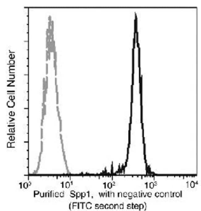 Osteopontin Recombinant Rabbit Monoclonal Antibody (001), Invitrogen 100 | Fisher Scientific