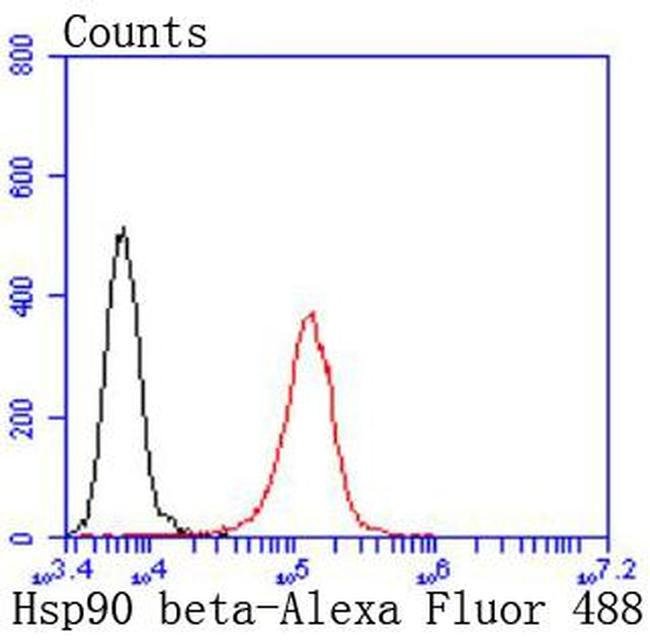 HSP90 beta Recombinant Rabbit Monoclonal Antibody (SY46-01), Invitrogen™ 100 μL; Unconjugated ...