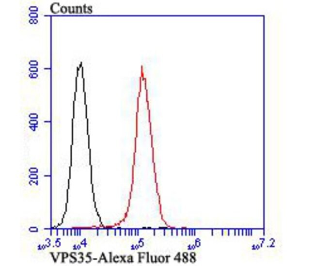 VPS35 Recombinant Rabbit Monoclonal Antibody (JB33-82), Invitrogen 100 ...